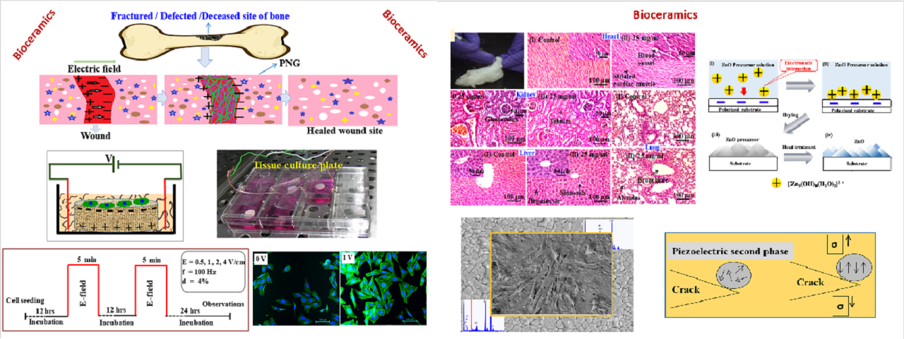 CER - Welcome | Indian Institute of Technology (BHU)